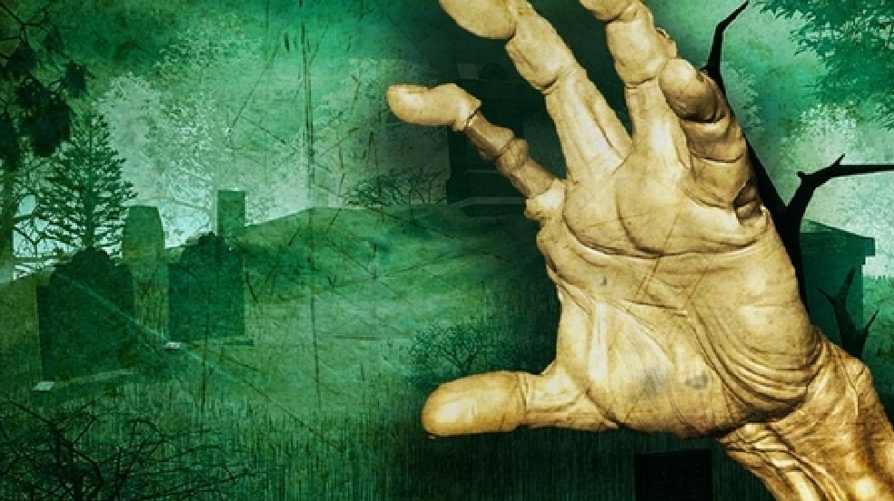 Man dressed as zombie injured in hit and run crash | WWMT