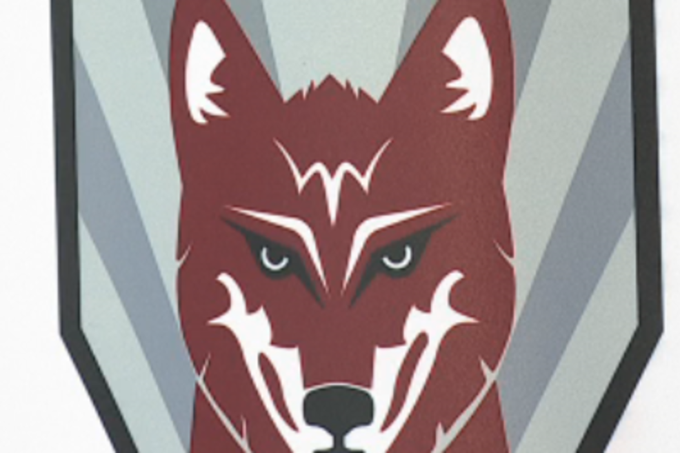 TransCard comes on board as Chattanooga Red Wolves SC Kit Sponsor | WTVC